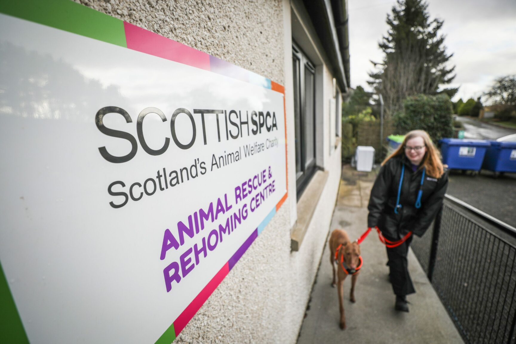 Cost-of-living crisis adds to 'challenging' 2022 which saw 4,400 call ...