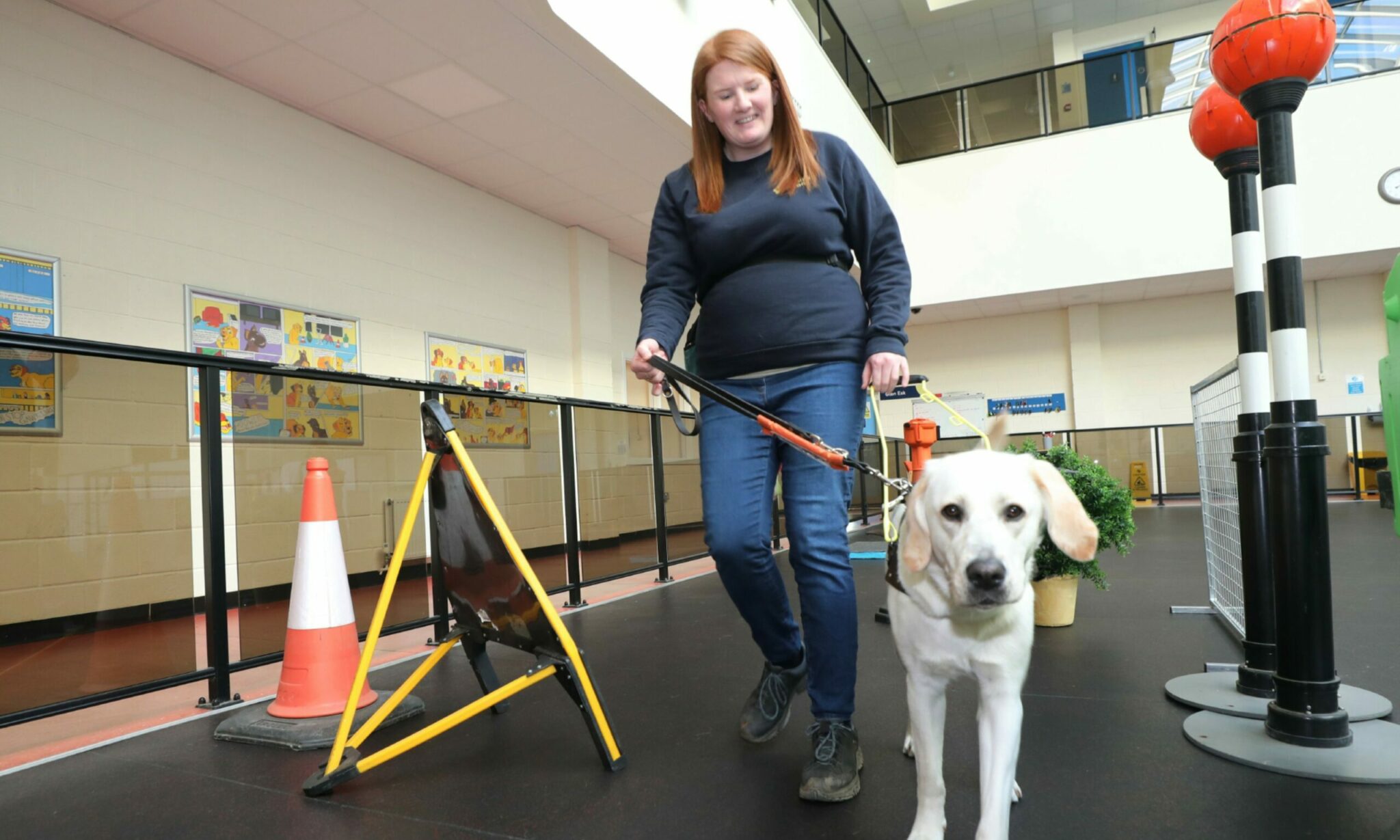 Guide Dogs: Charity's Forfar base has changed lives for 60 years