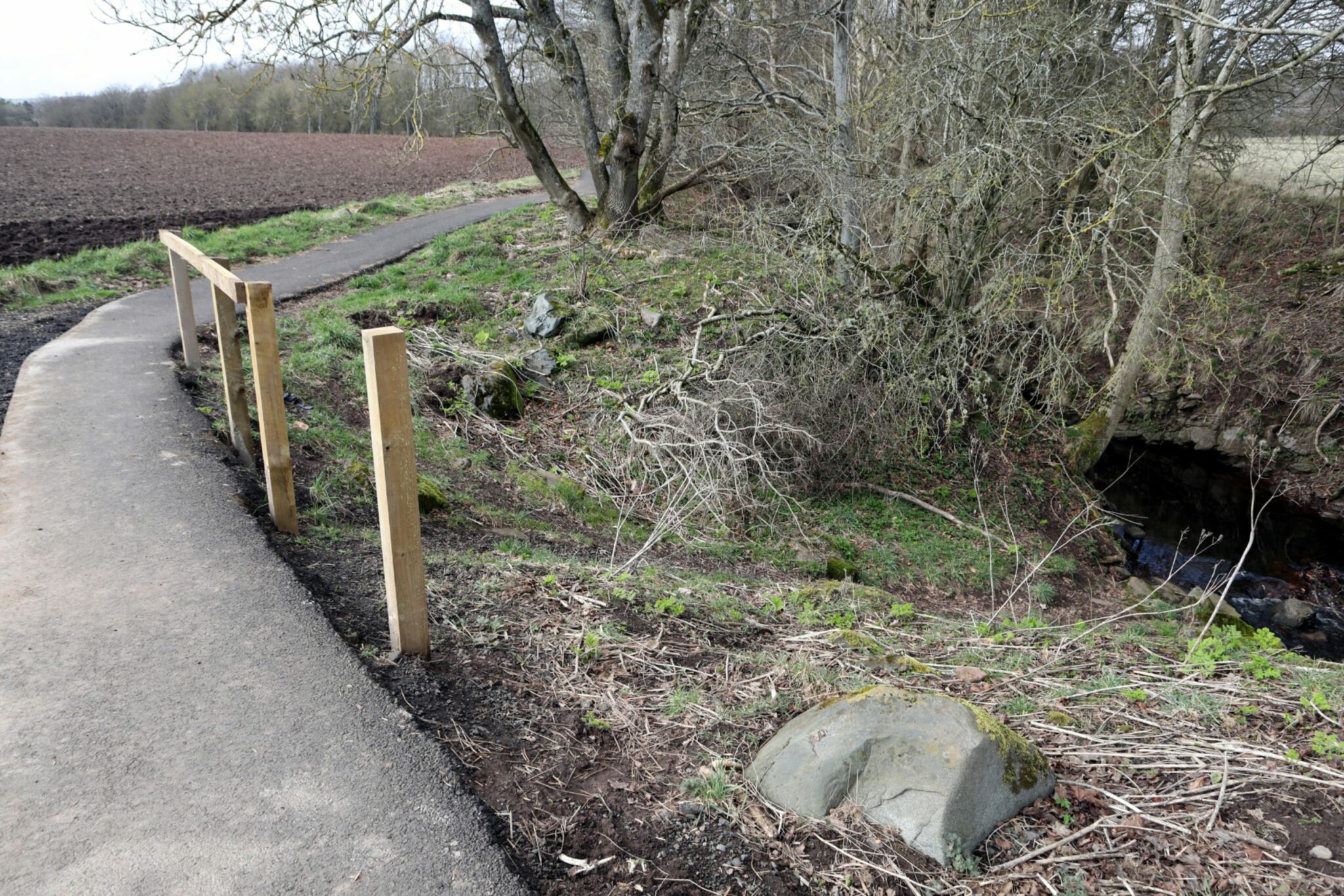 Concerns grow over new £240,000 Kirriemuir woodland path