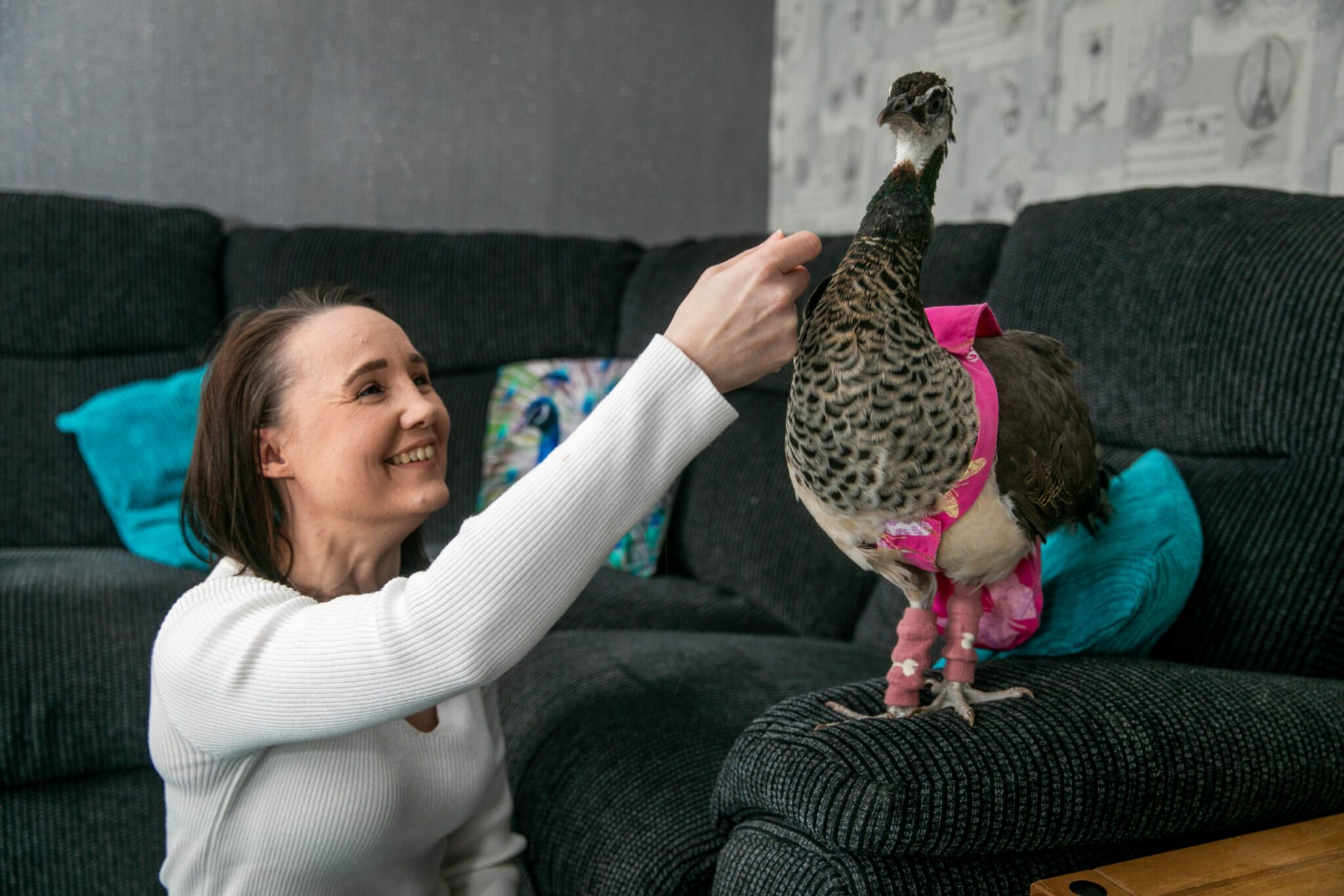 Video shows dogs attacking Dunfermline's beloved peacocks