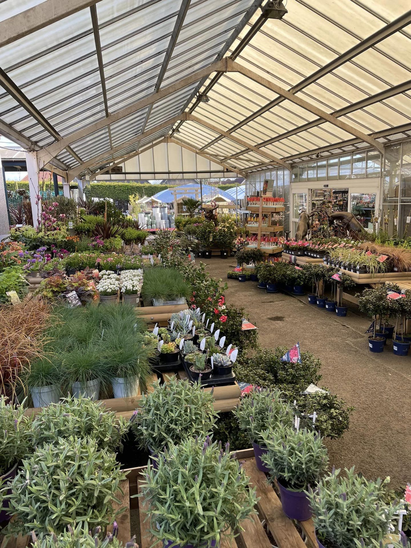 8 must-visit garden centres in Tayside and Fife