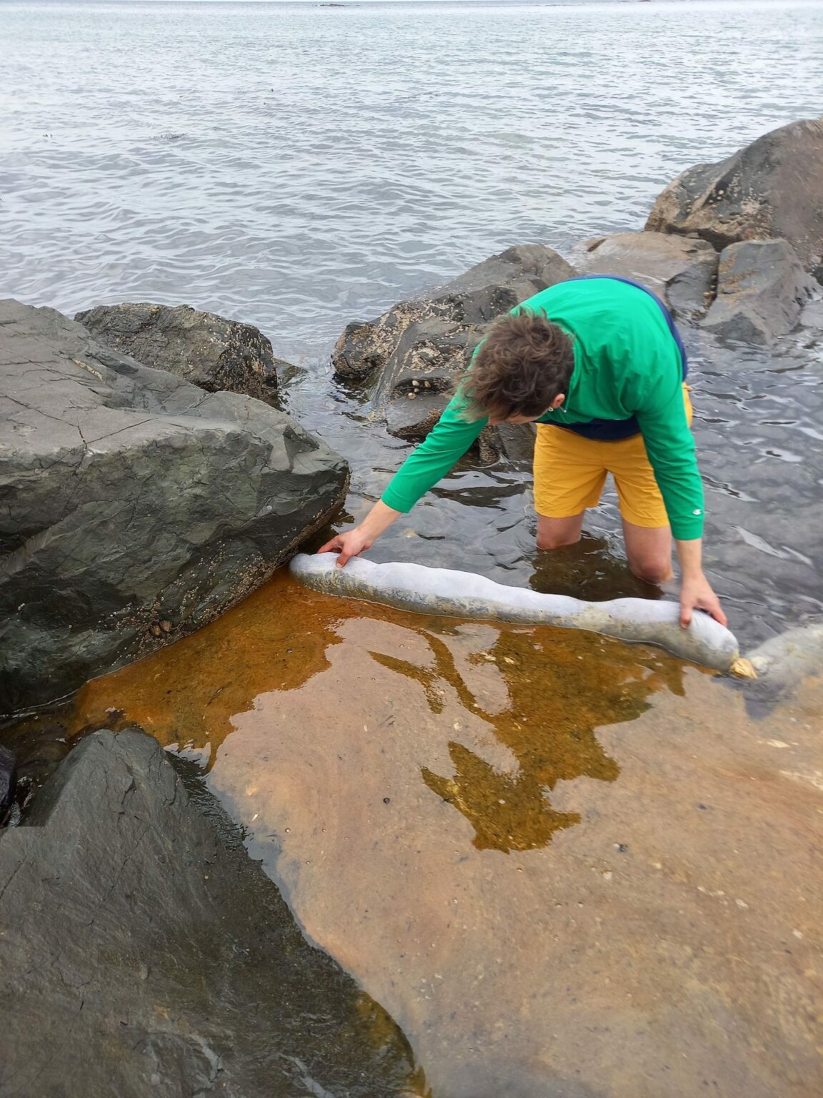 Dundee green hairdresser Charlie recycles 3 boxes of hair a month