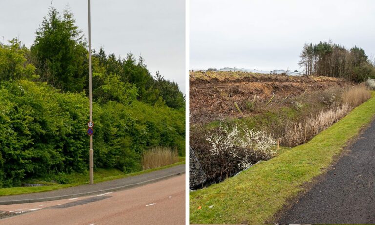 Why Aldi hedge heartbreak won't stop this Broughty Ferry fighter