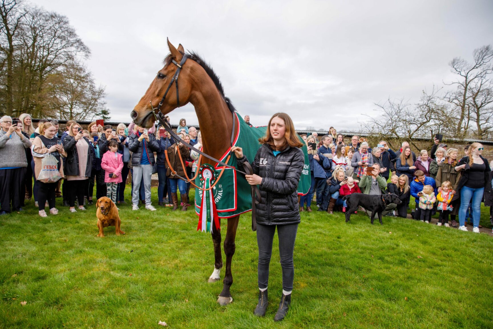 Pictures as Grand National winner Corach Rambler returns home