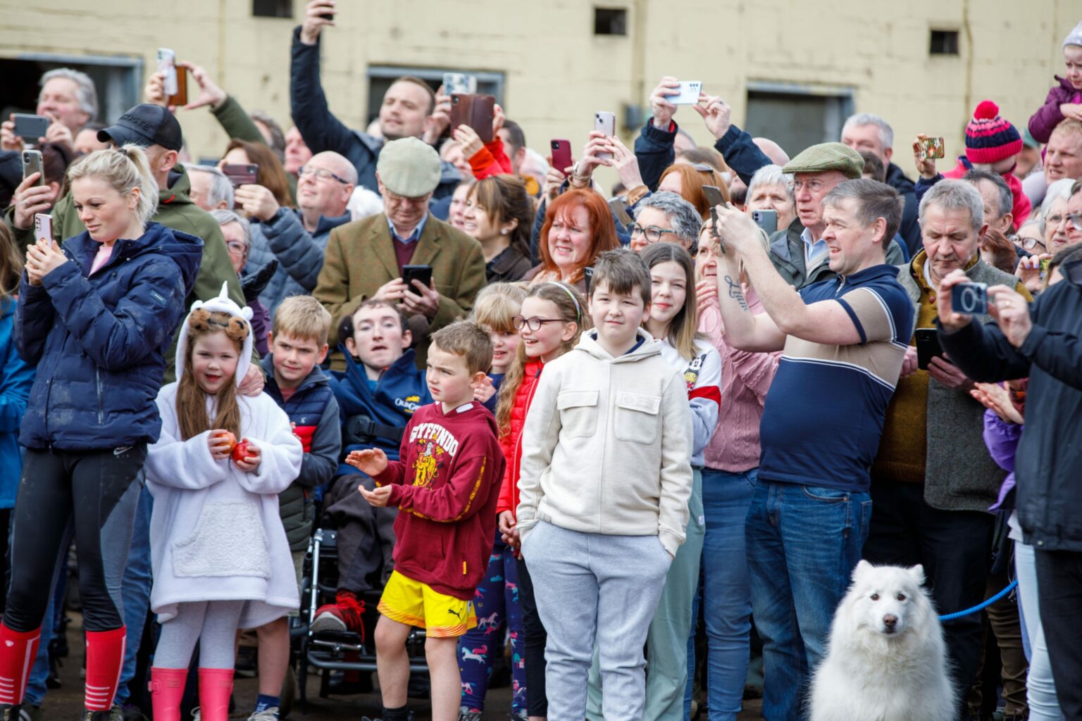 Pictures as Grand National winner Corach Rambler returns home
