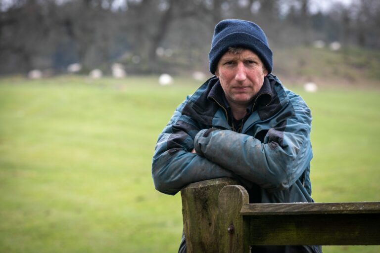 17 lambs mauled to death during suspected dog attack at Fife farm