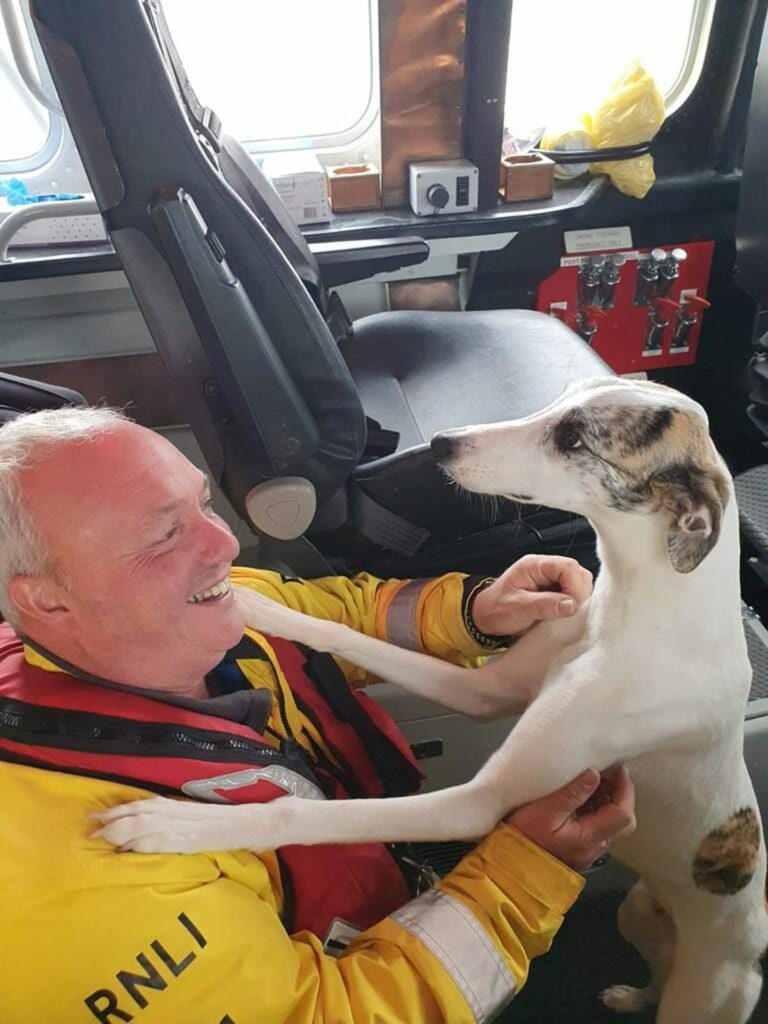 Dog rescued from stricken speedboat by Broughty Ferry RNLI