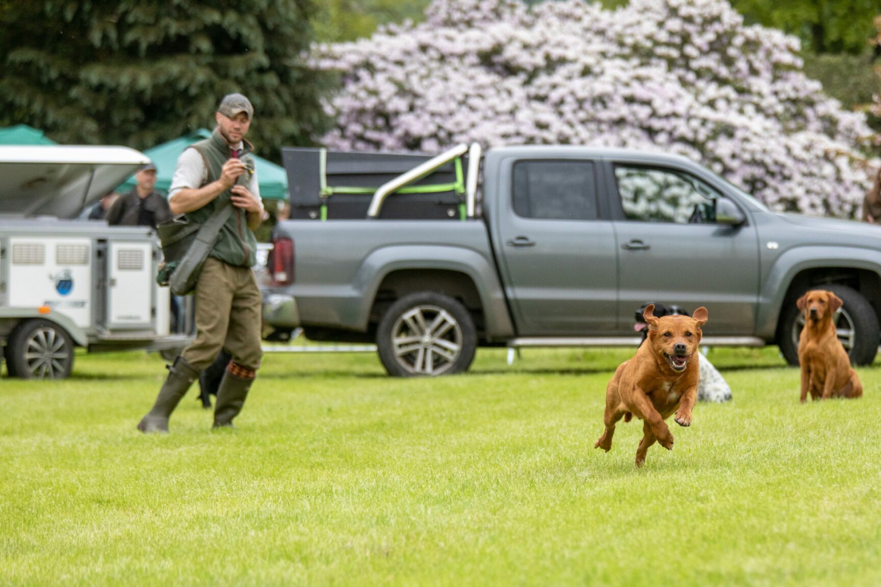 23 pictures as thousands enjoy this year's Fife Show - The Courier