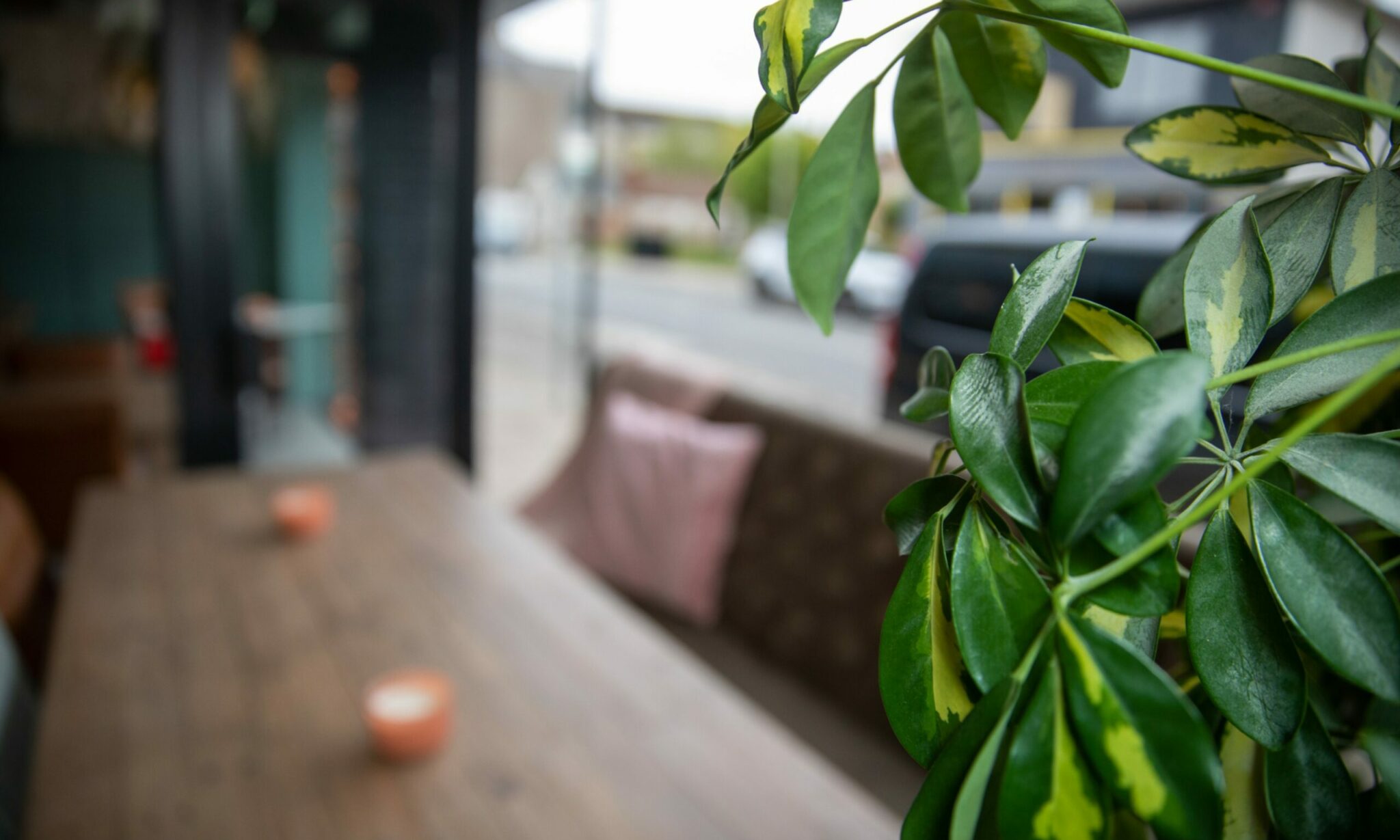 'Absolute hell’: The story behind The Ferry Selkie