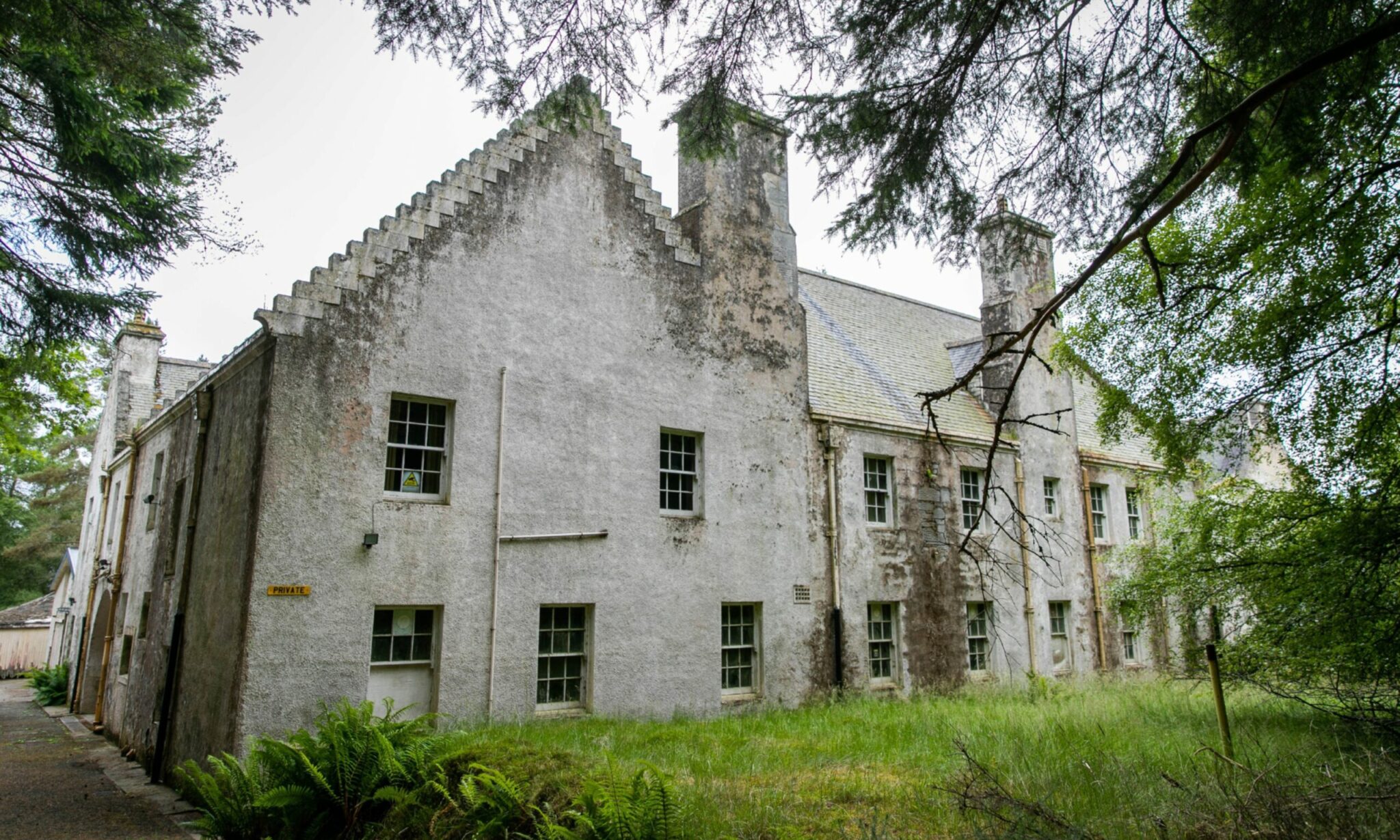 Angus school child was force-fed 'gristly' meat, trial told