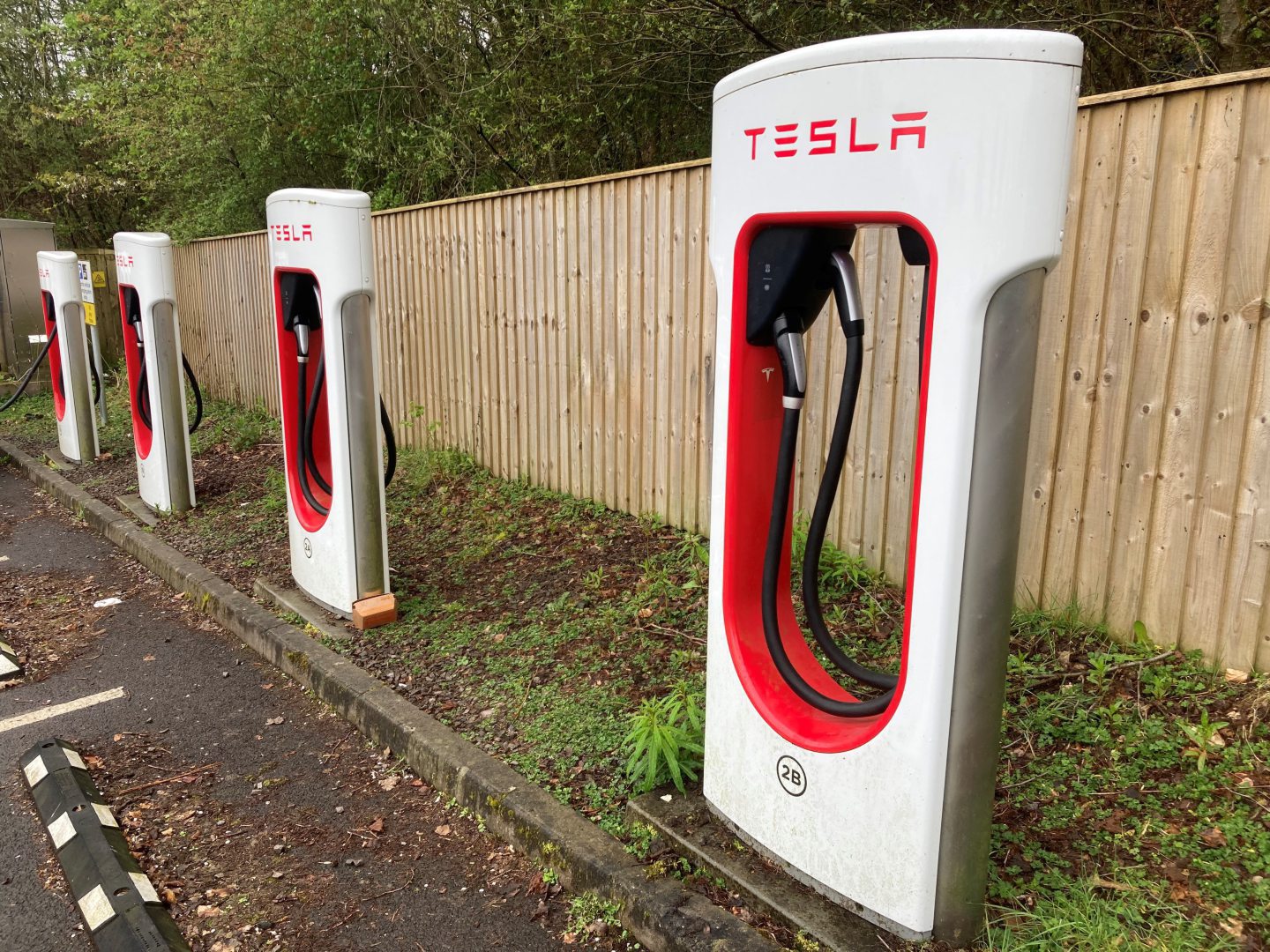 Tesla driver banned after swigging wine in charging bay in Perth