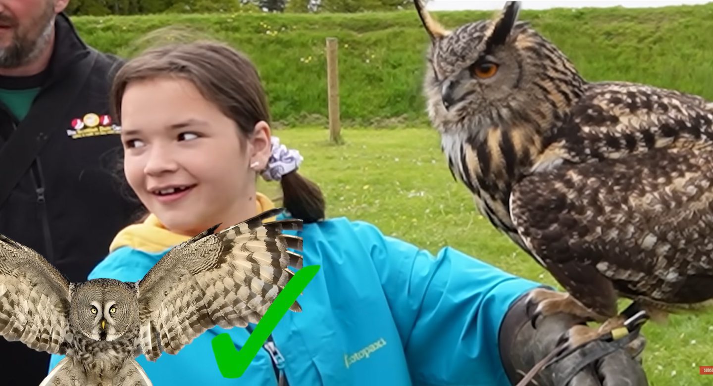 Viral YouTubers The Ohana Adventure face fear at Fife deer centre