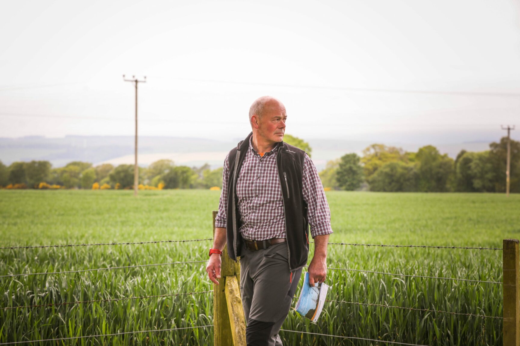 Angus campaigner's 'horror' over 400kV super pylons plan