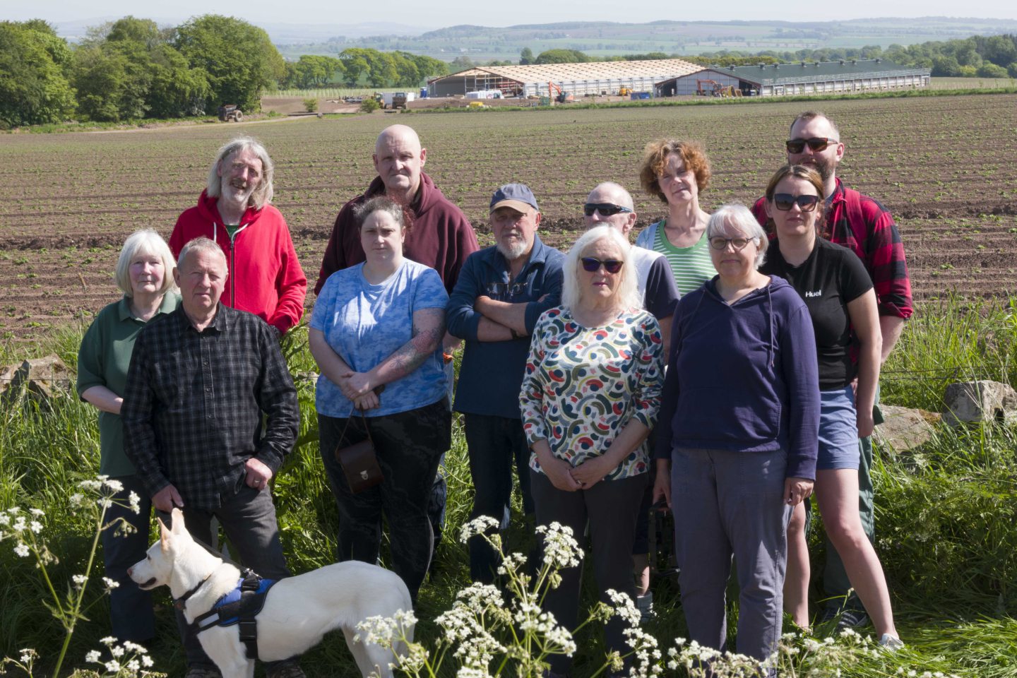 Angus farmer admits breaching chicken sheds planning enforcement