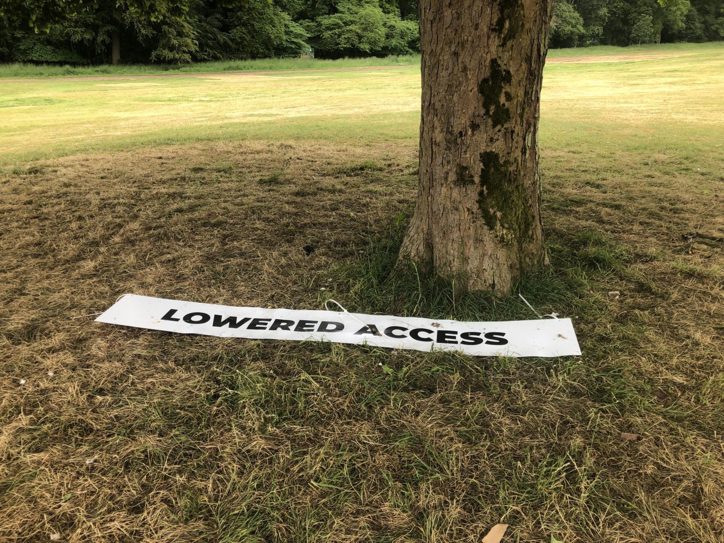 Rubbish left at Camperdown Park a fortnight after Big Weekend