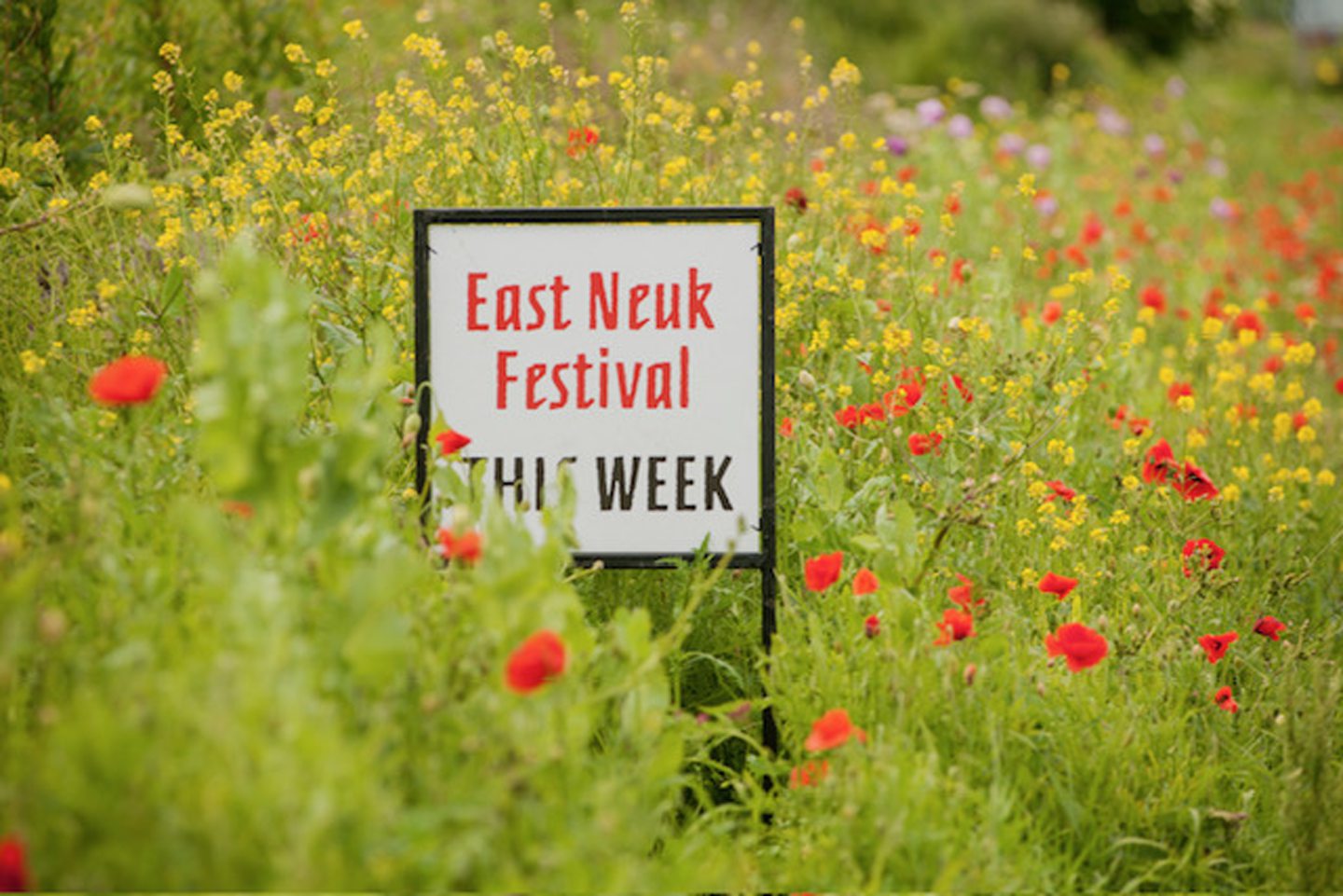 East Neuk Music Festival will see Su-a Lee play cello - and the saw