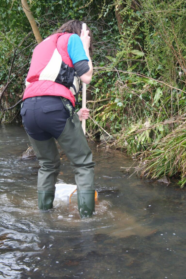 St Andrews and Cupar River Guardians ask: How healthy is your local ...