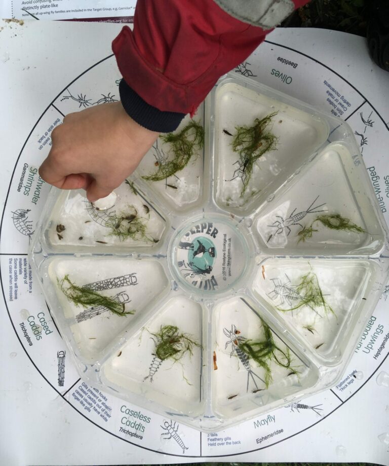 St Andrews and Cupar River Guardians ask: How healthy is your local ...