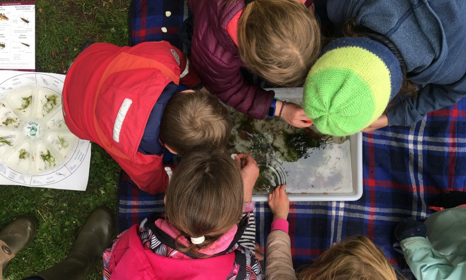 St Andrews and Cupar River Guardians ask: How healthy is your local ...