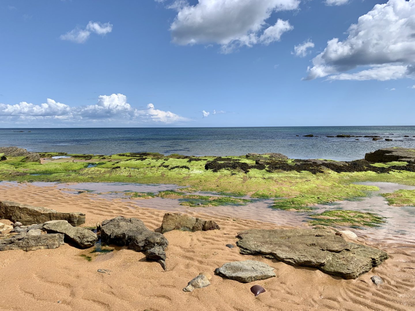 Walk the Fife Coastal Path between Crail and St Andrews