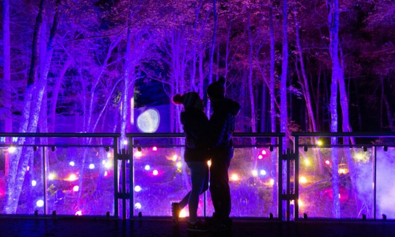 Perthshire bus firms awarded Enchanted Forest contracts