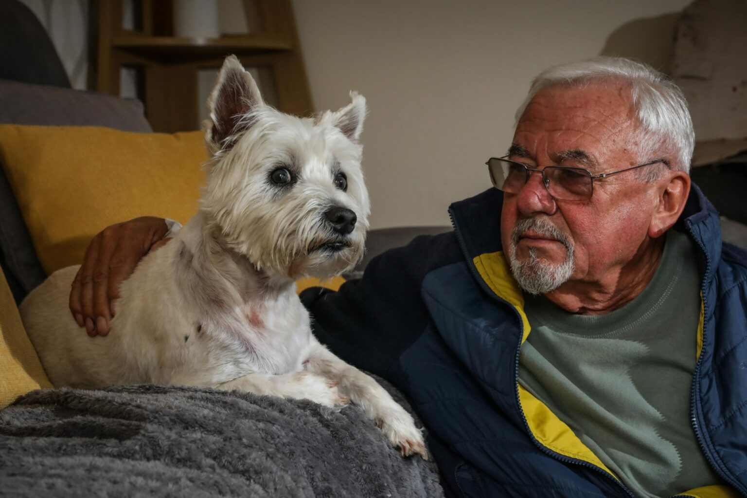 Fears over XL Bullies rehomed in Dundee from England and Wales