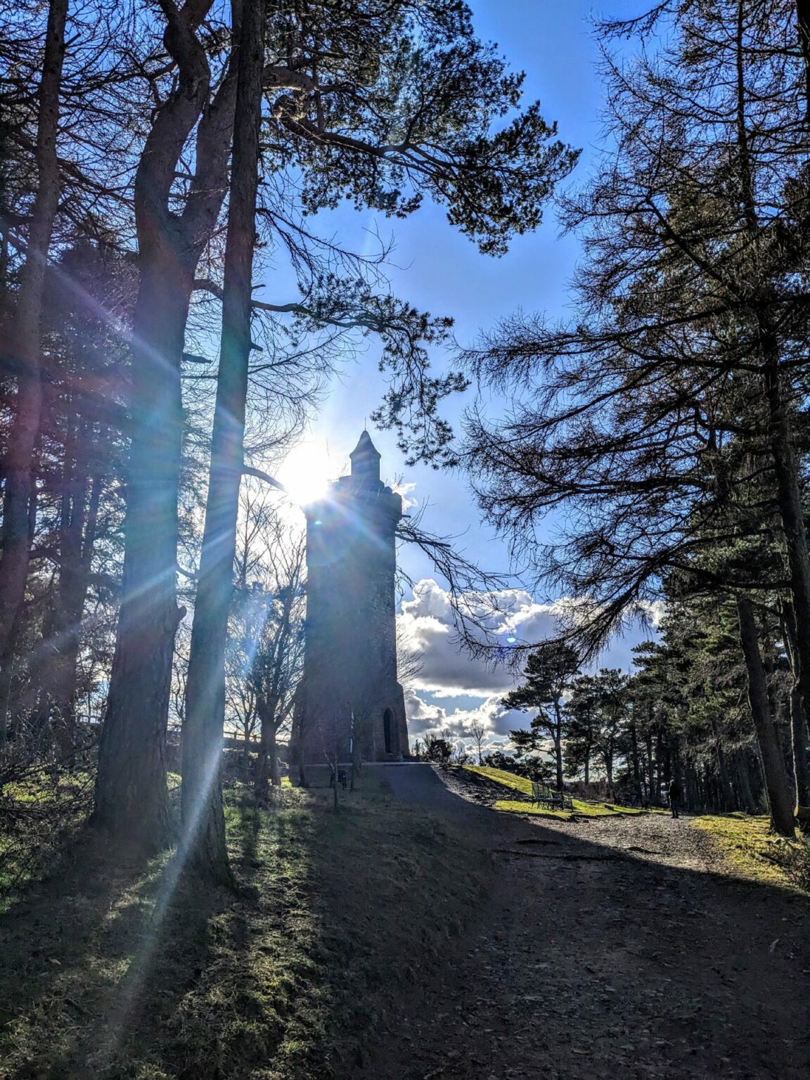 Green light for Forfar farmer's 6.5MW solar scheme