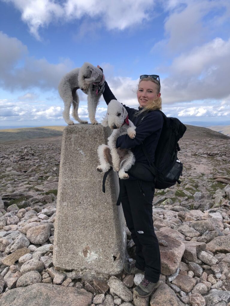 'King Charles notified' as dog Gala found after weeks lost in Angus