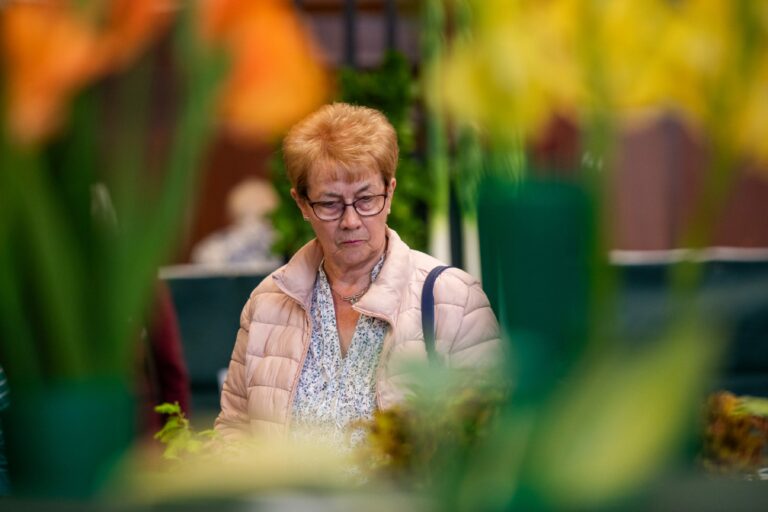 Forfar flower show back on home turf in Reid Hall
