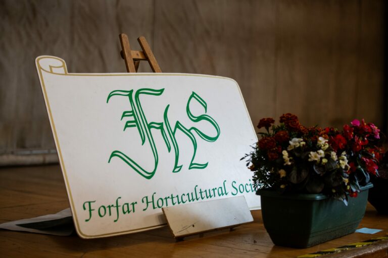 Forfar flower show back on home turf in Reid Hall