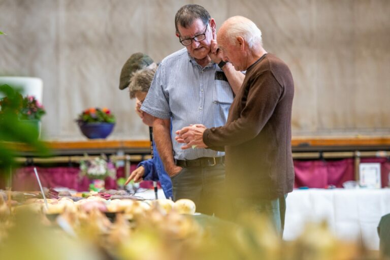 Forfar flower show back on home turf in Reid Hall