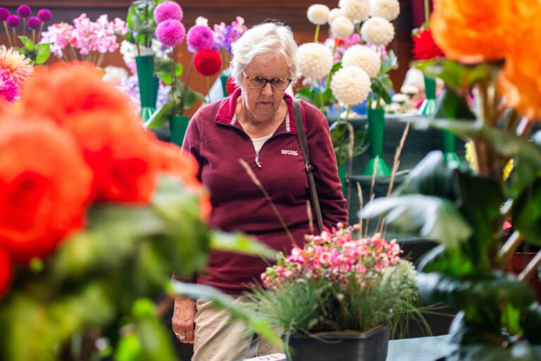 Forfar flower show back on home turf in Reid Hall