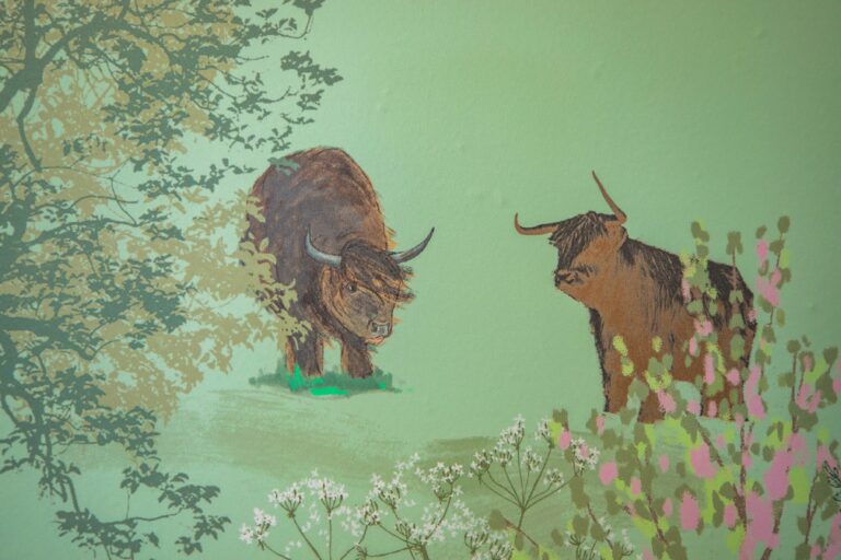 Crieff Hospital's wall of memories brings the outside in for patients