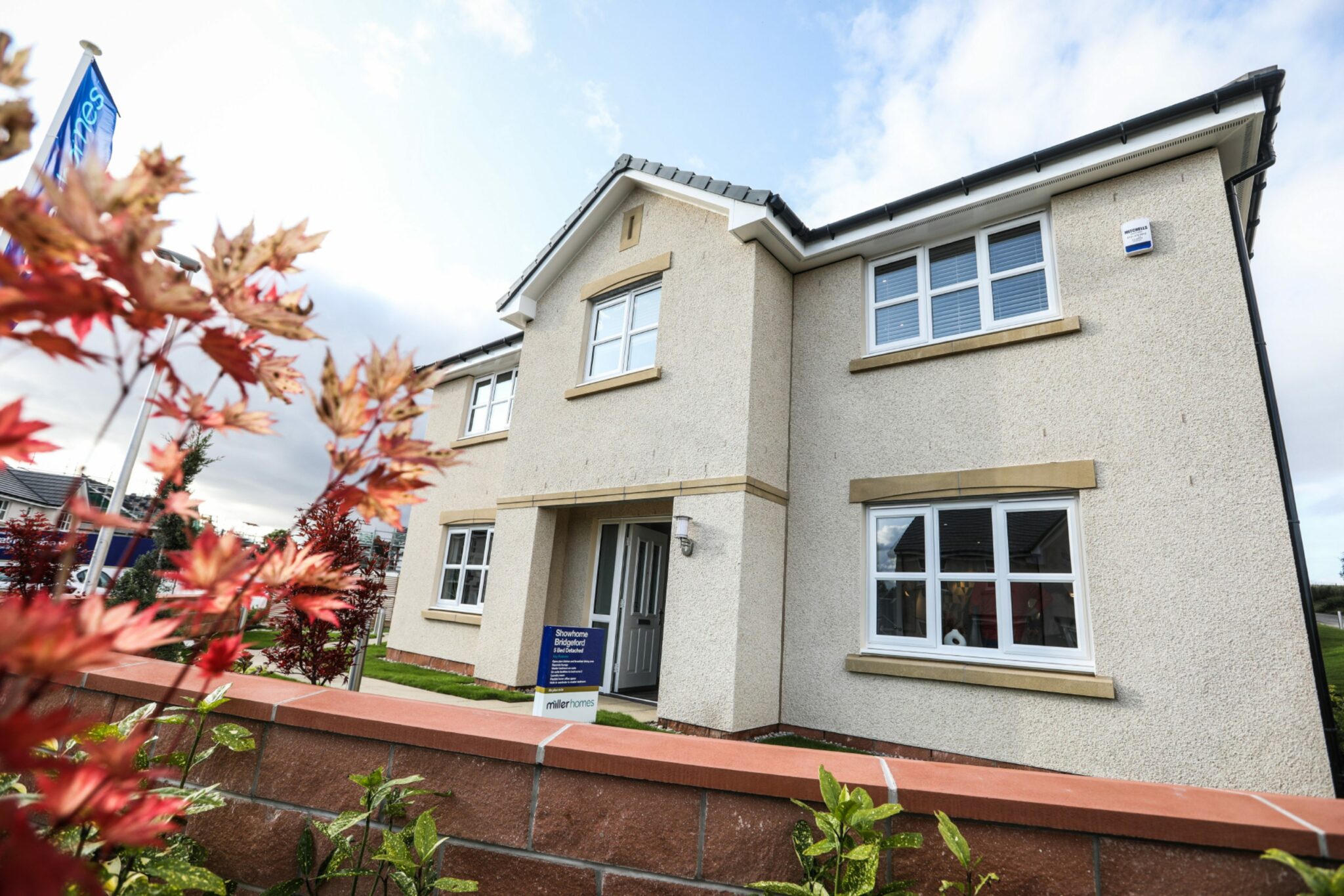 Strathmartine Park: Inside homes on hospital site