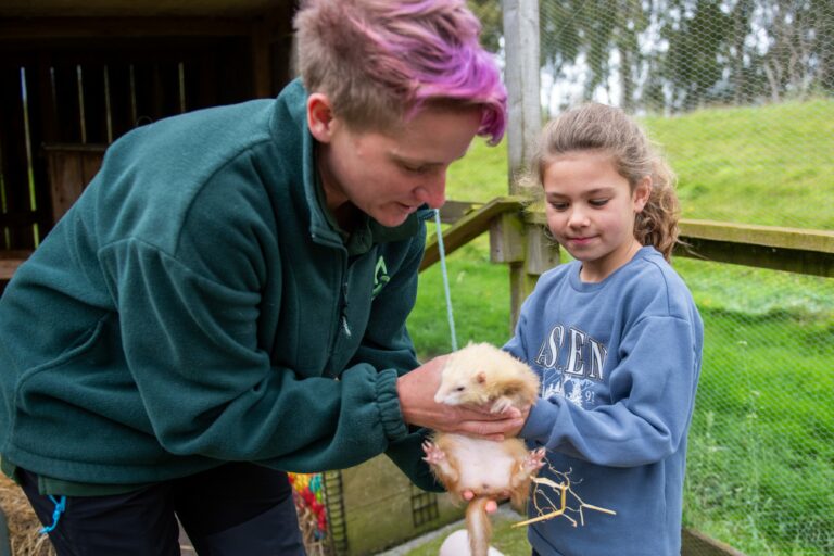 Murton reserve in running for RSPB Nature of Scotland award