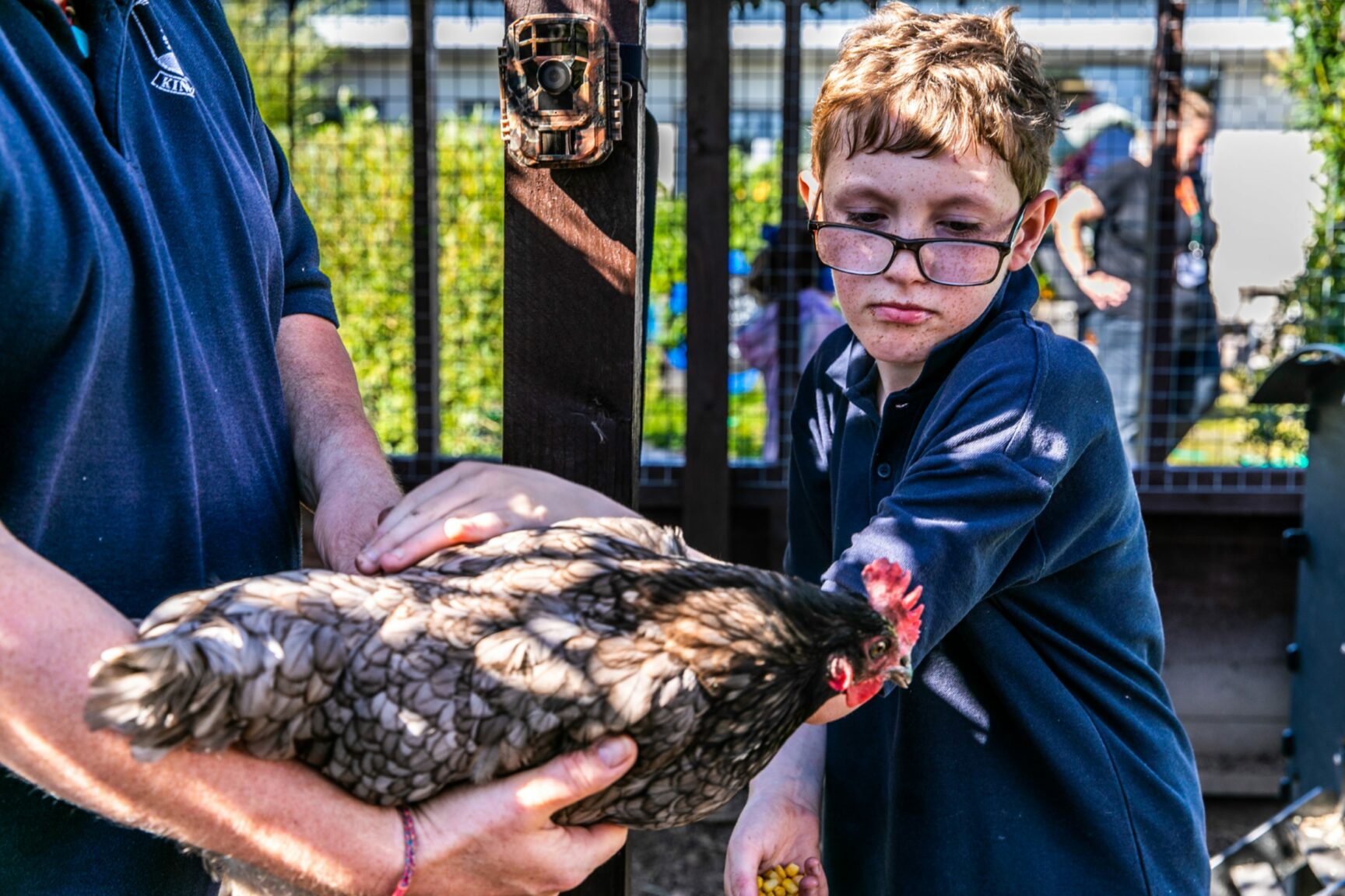 Kingspark School's award-winning approach to autism