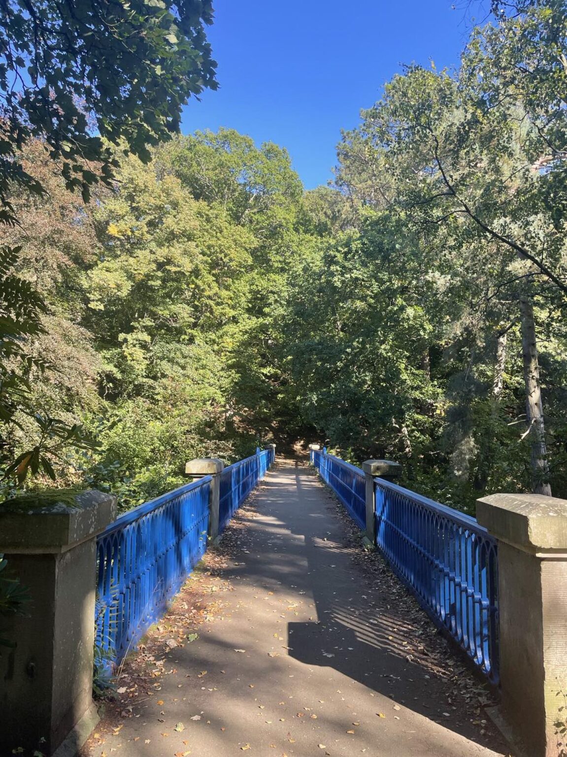 5 wonderful winter walks to enjoy in Dundee this Christmas