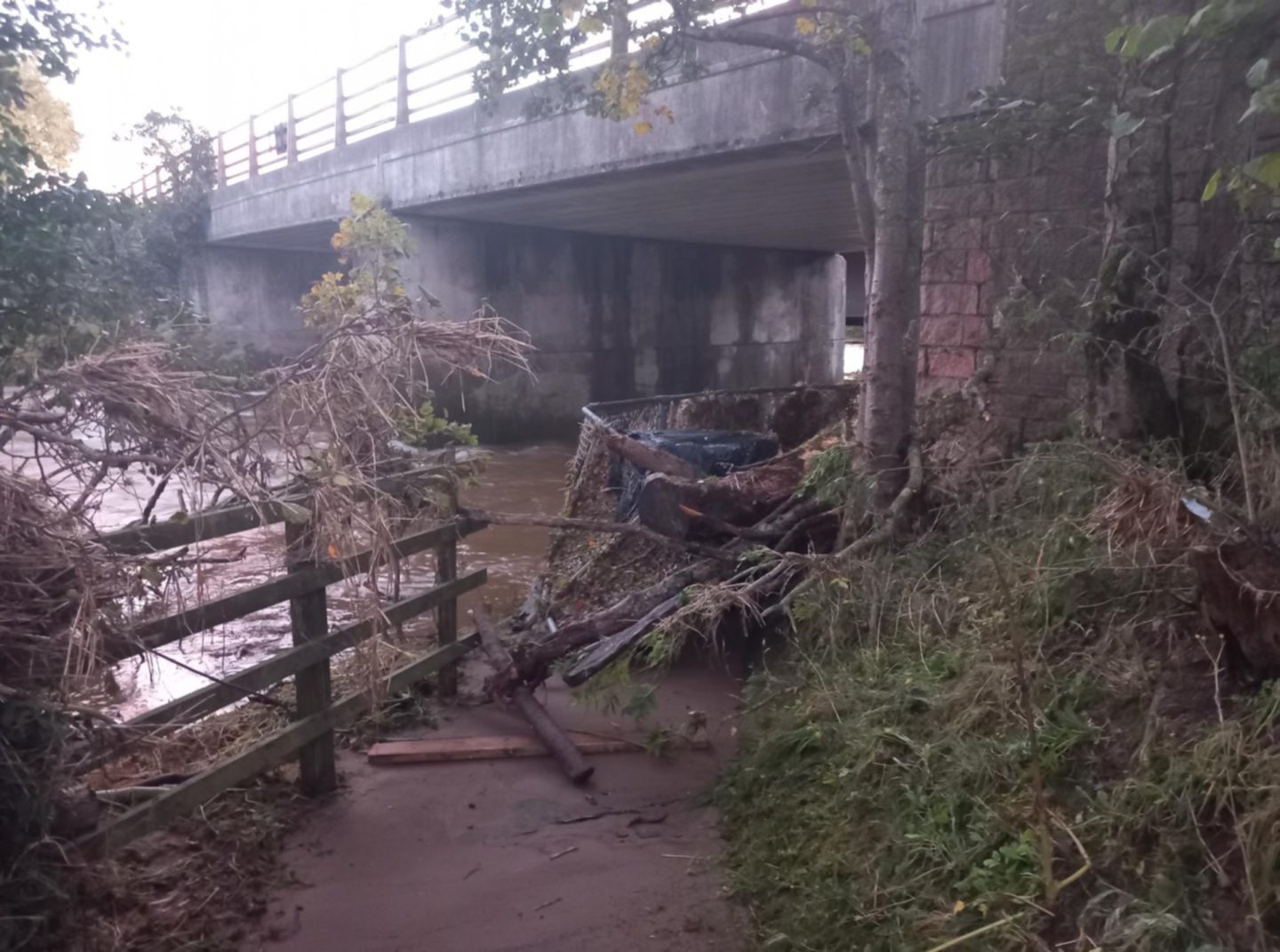 Angus businesses hit hard by A90 bridge Storm Babet contraflow