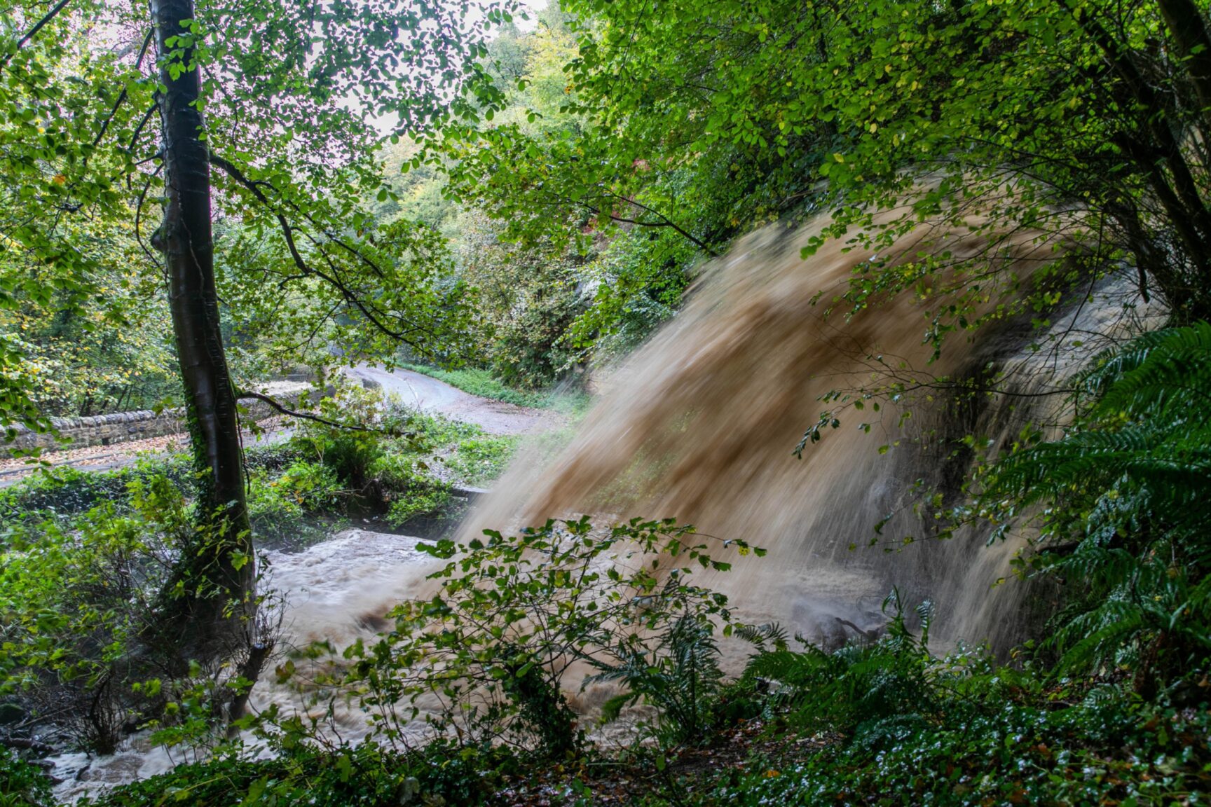 Storm Babet: Fife homes without power as River Eden bursts banks