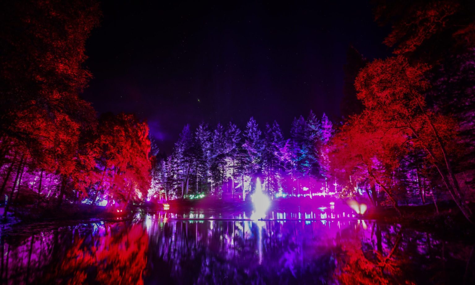 Enchanted Forest cancelled for second night due to safety fears