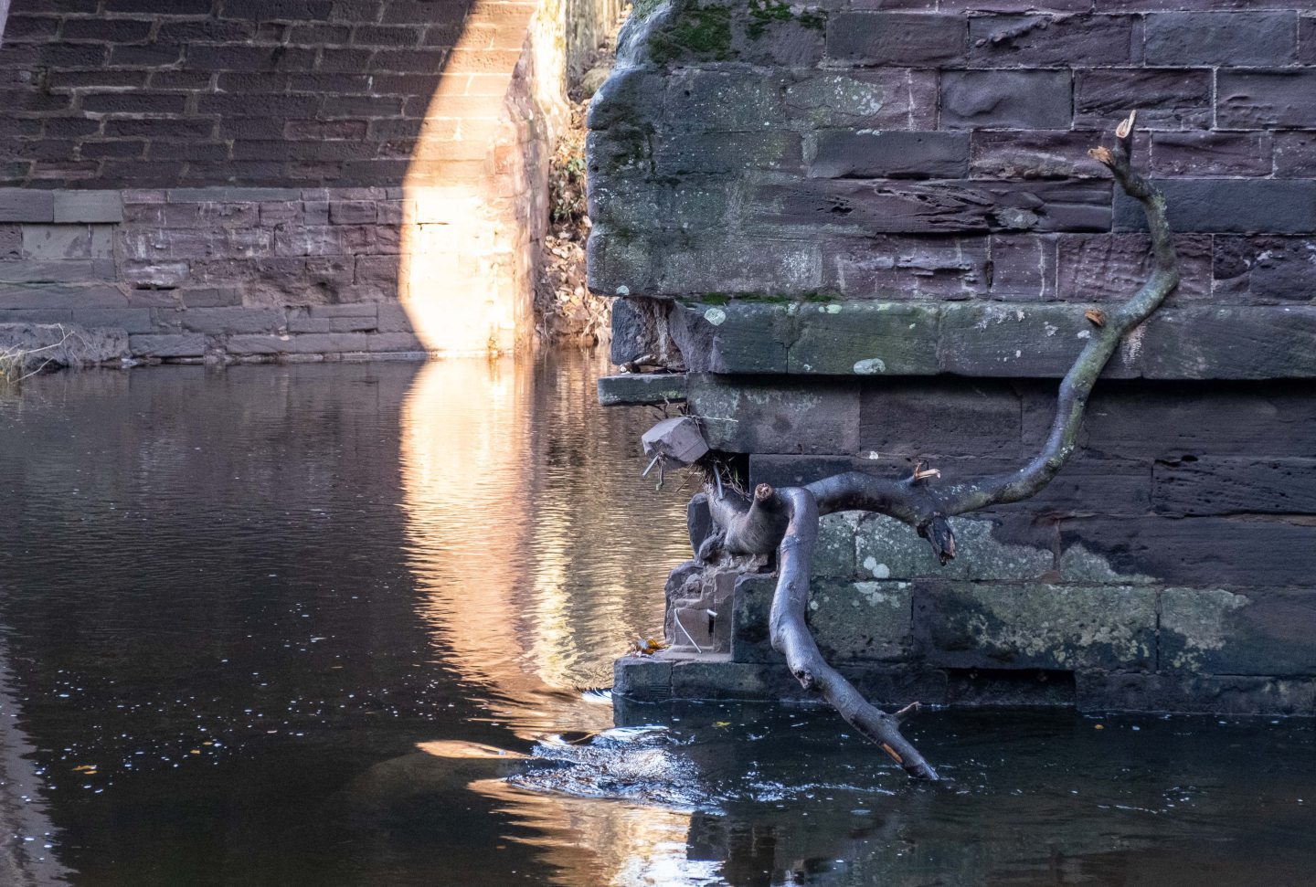 Drivers welcome Brechin Bridge re-opening after Storm Babet repair