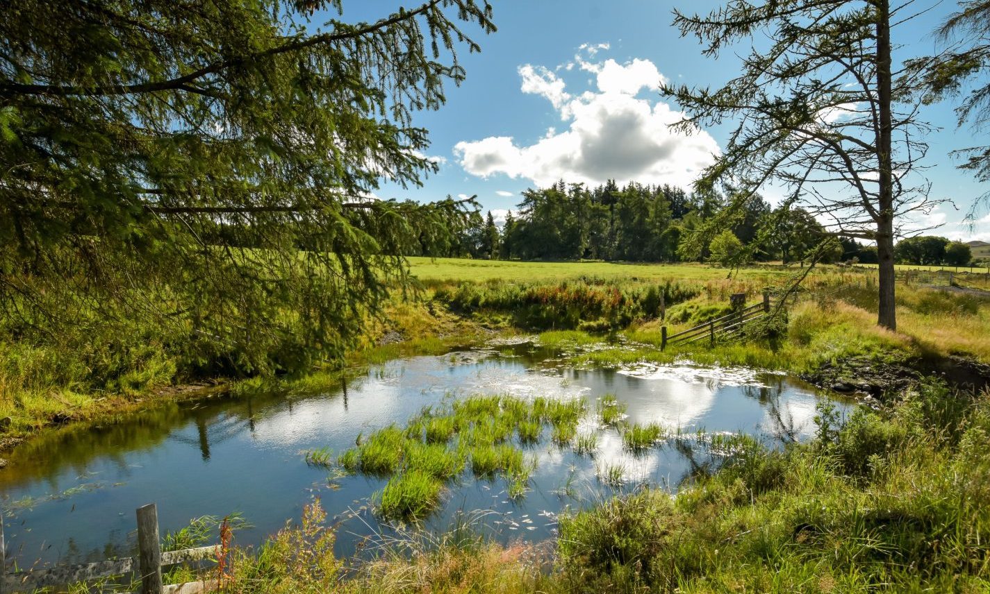 £1.2m Perthshire smallholding has holiday chalets and 70 acres