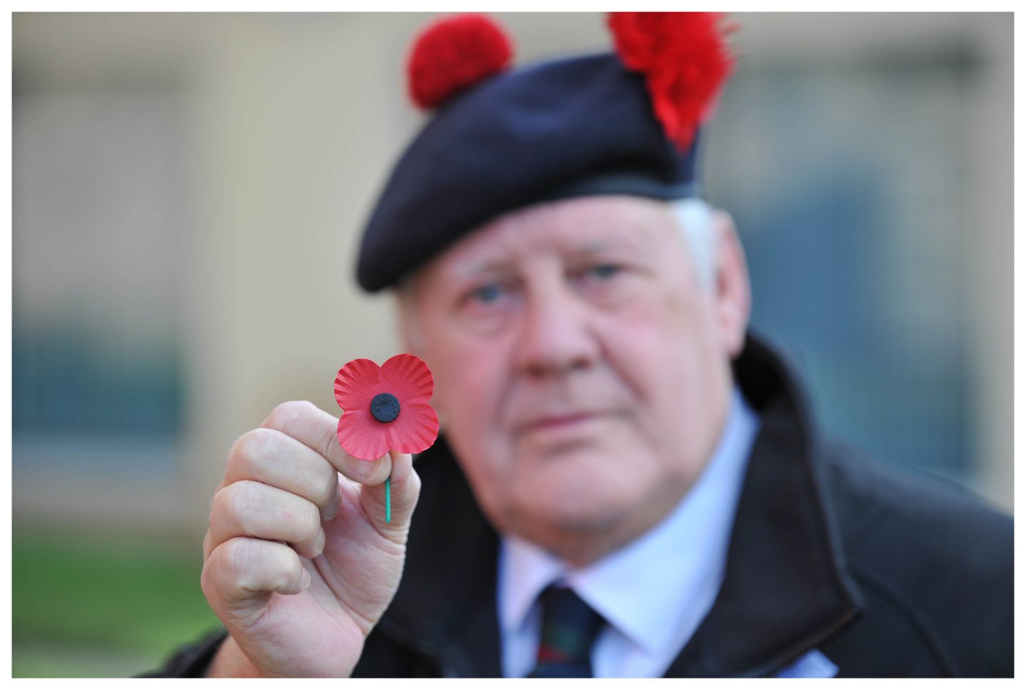 Should you wear a red poppy, white poppy or no poppy at all?