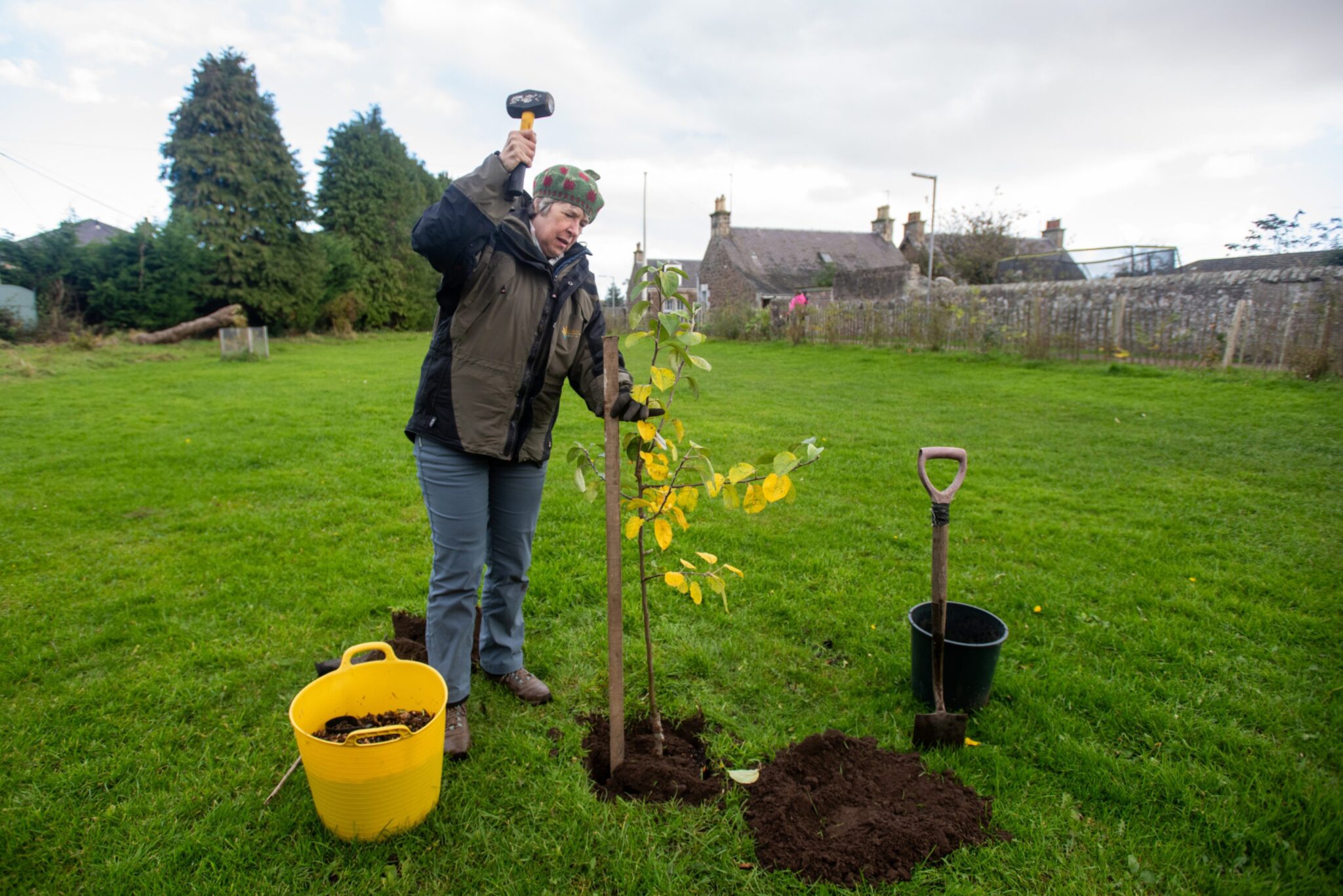 Why Fife will soon be covered by free fruit trees
