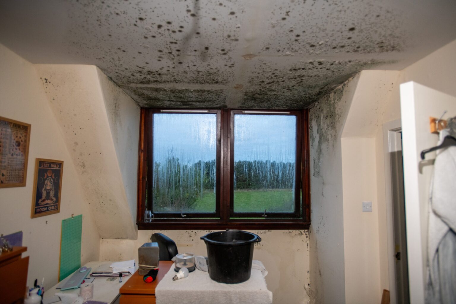 Angus family say mould-covered council home is causing infections
