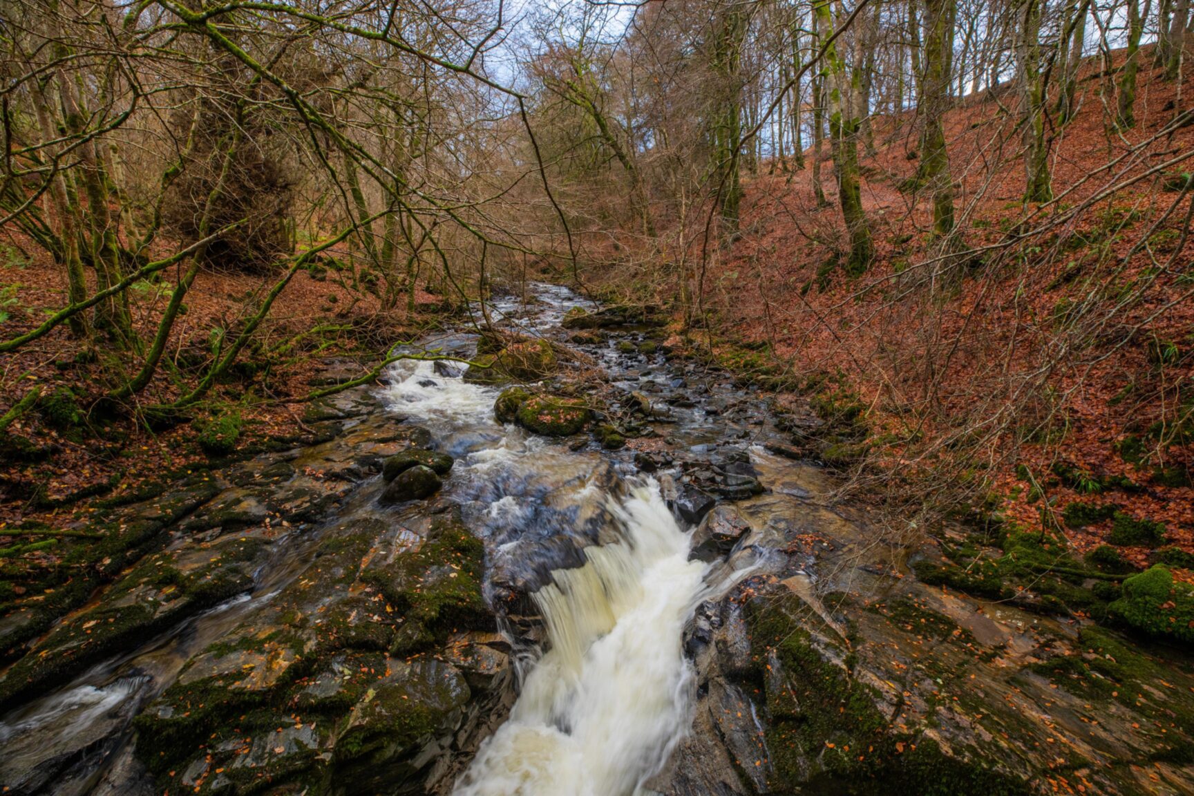 Things to do in Aberfeldy: A local's guide to this Perthshire gem