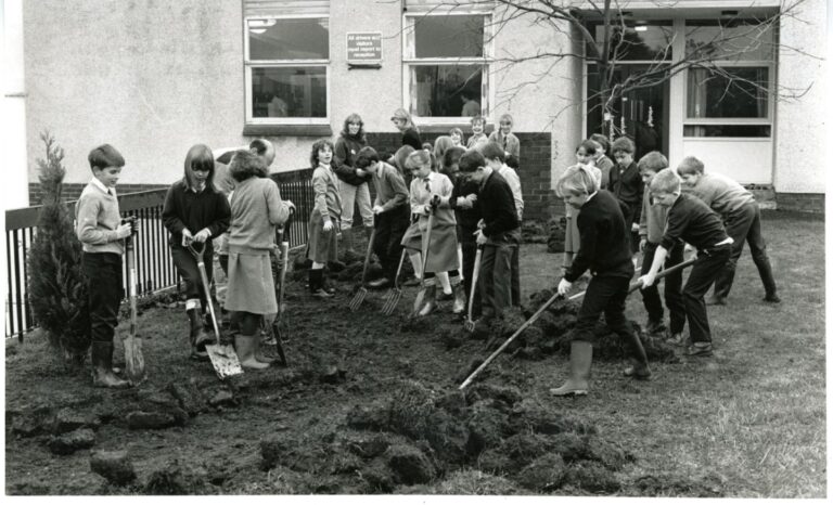 Housing plans for former Lochee Primary School site approved