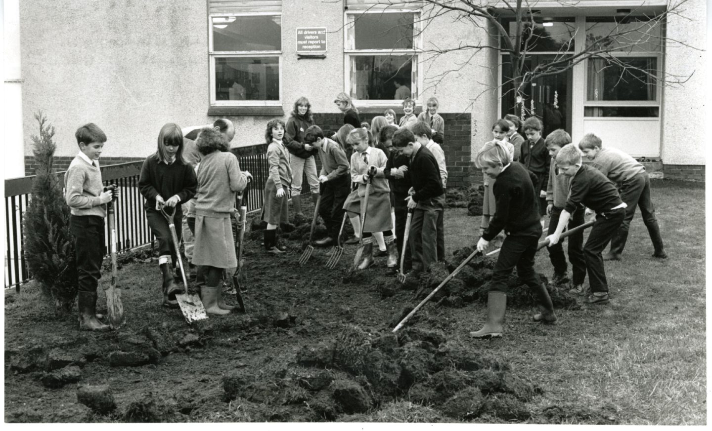 Housing plans for former Lochee Primary School site approved