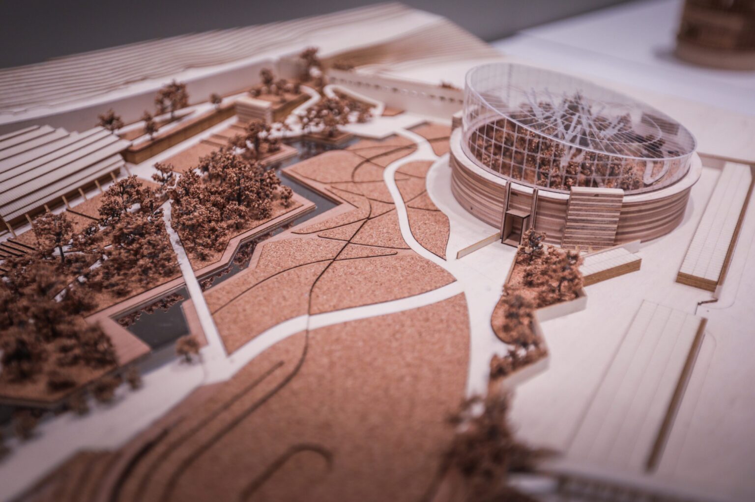 Eden Project: New images of multi-million pound attraction released