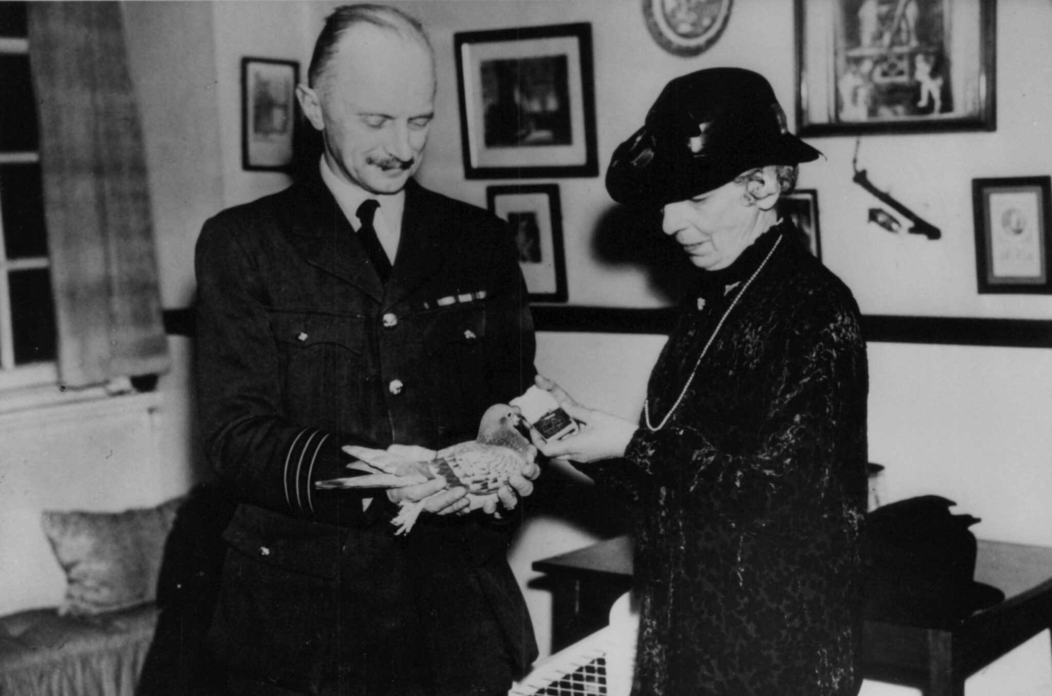Broughty Ferry war-hero Winkie the Pigeon honoured with new statue